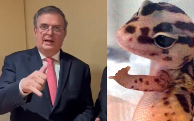 La historia detrás del meme: ¿Qué significa el ‘Es de chill ...